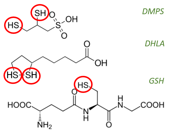 Schwermetall-Chelatoren & Mobilisatoren: Eine Übersicht (DMPS, DMSA ...