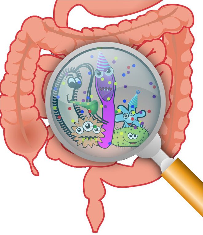 Magen- & Darmkrams Teil 1: Leaky-Gut, SIBO, IMO (Methan), LPS, Pilze ...
