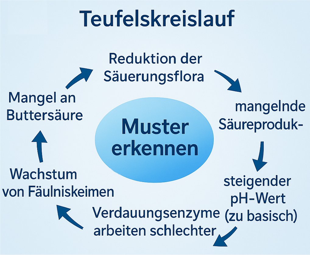 Magen- & Darmkrams Teil 1: Leaky-Gut, SIBO, IMO (Methan), LPS, Pilze ...