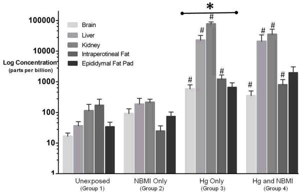 Detox 6: Ist Irminix® (auch OSR #1, NBMI) ein idealer Quecksilber ...