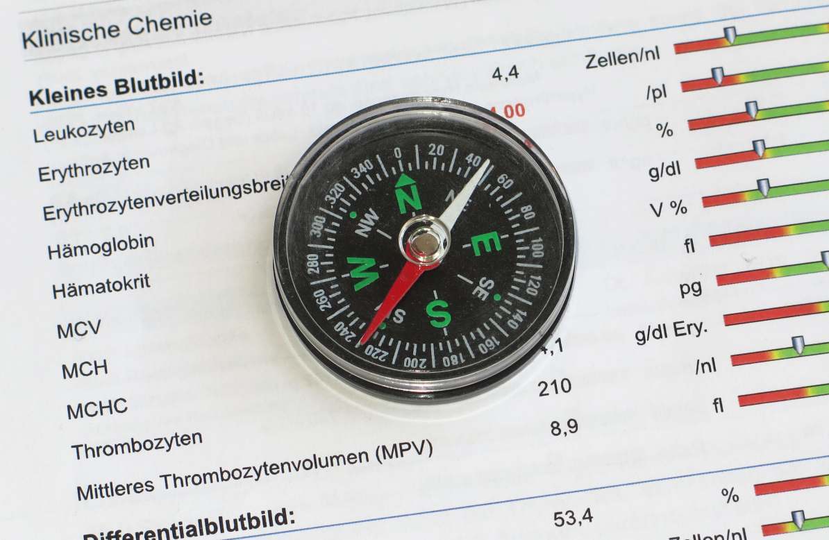 Eisen-Update Teil 5: Eisenmangel-Anämie (IDA, ACD) & Überschuss ...