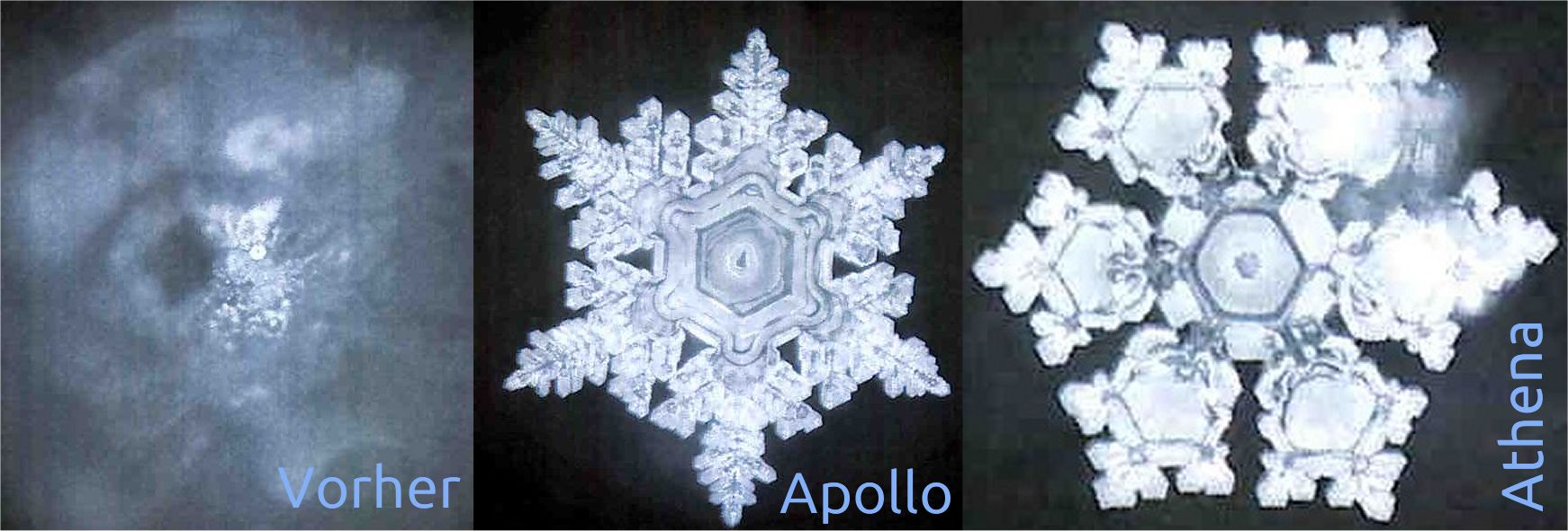 Wasser ist mehr als H2O Teil 5: MeaWater Magnet-Vortexer (Apollo, Iris ...